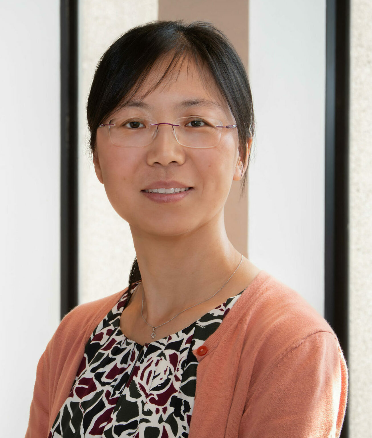 Longhua Zhao – Department of Mathematics, Applied Mathematics, and ...