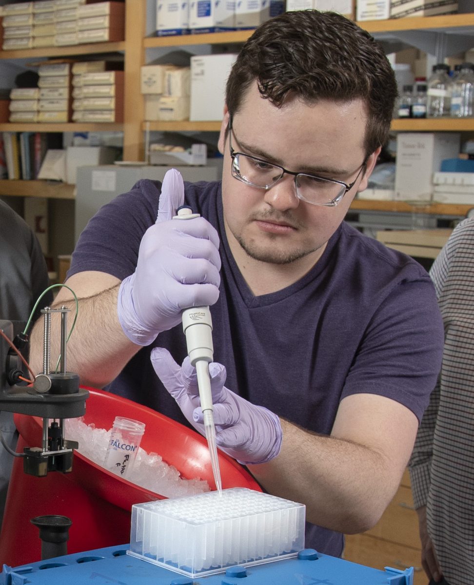 Origins Club – Institute for the Science of Origins