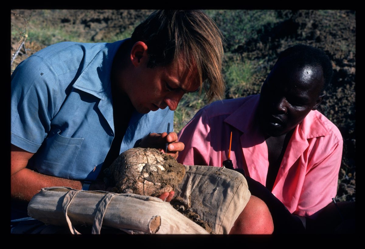 Kamoya – Institute for the Science of Origins