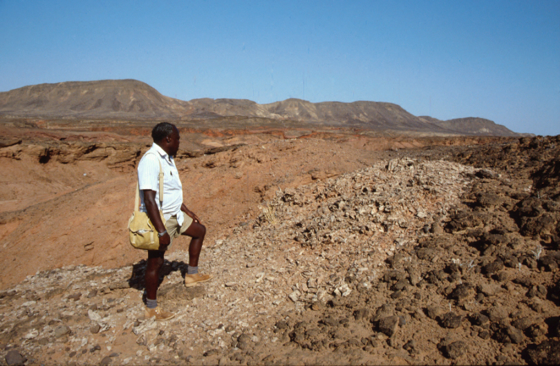 Kamoya – Institute for the Science of Origins