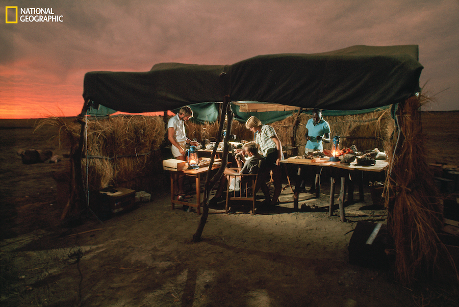 Kamoya – Institute for the Science of Origins