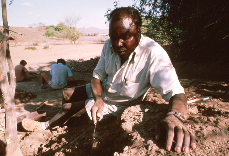 Kamoya – Institute for the Science of Origins