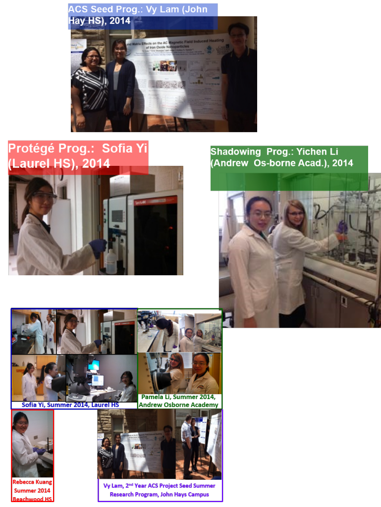 Summer Research Experience for High School Students – Samia Research Group