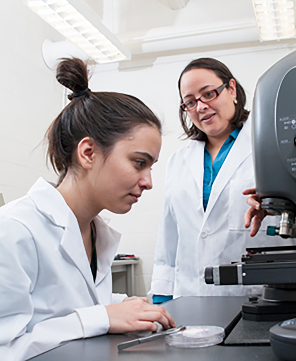 A Student-Oriented Lab - art | sci magazine