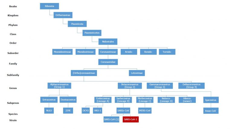 COVID-19 – Tolbert Group