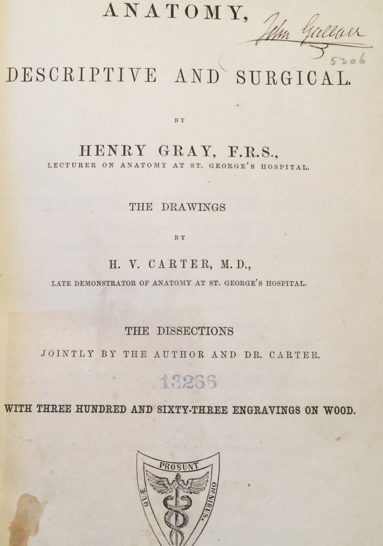 Under Your Skin: the Anatomy Artwork of H.V. Carter - Dittrick Medical ...