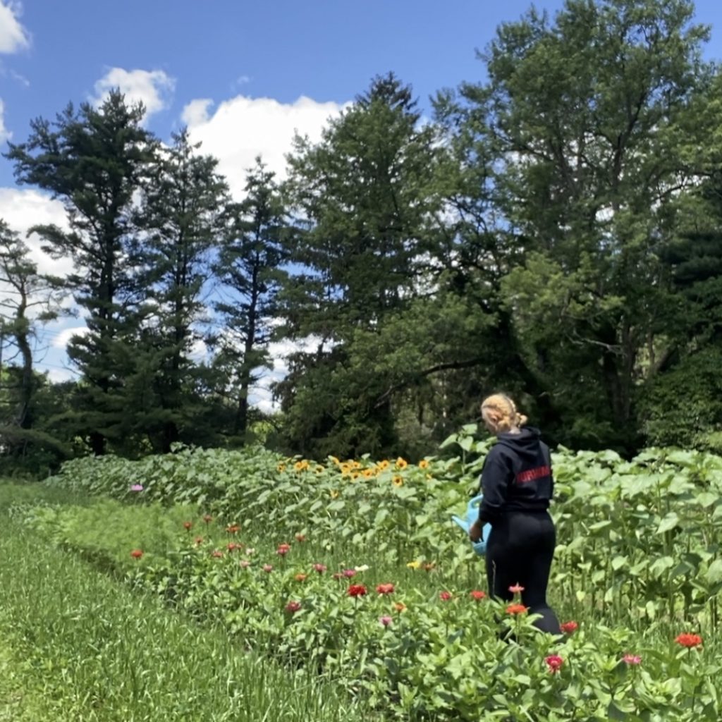 Student Spotlights: Summer Experiences and Opportunities - College of ...