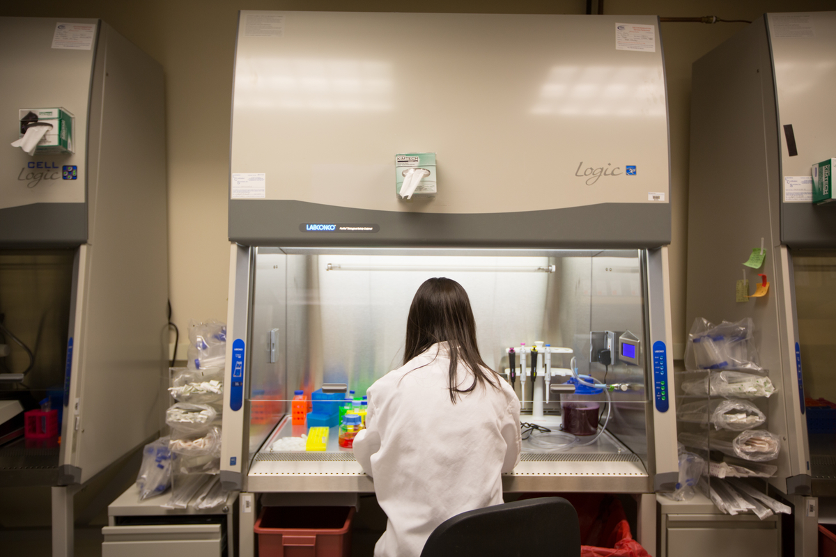 Lasting Impact: CWRU Ranks 11th Most Influential in Science ...